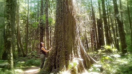 Watch Intelligent Trees | Prime Video