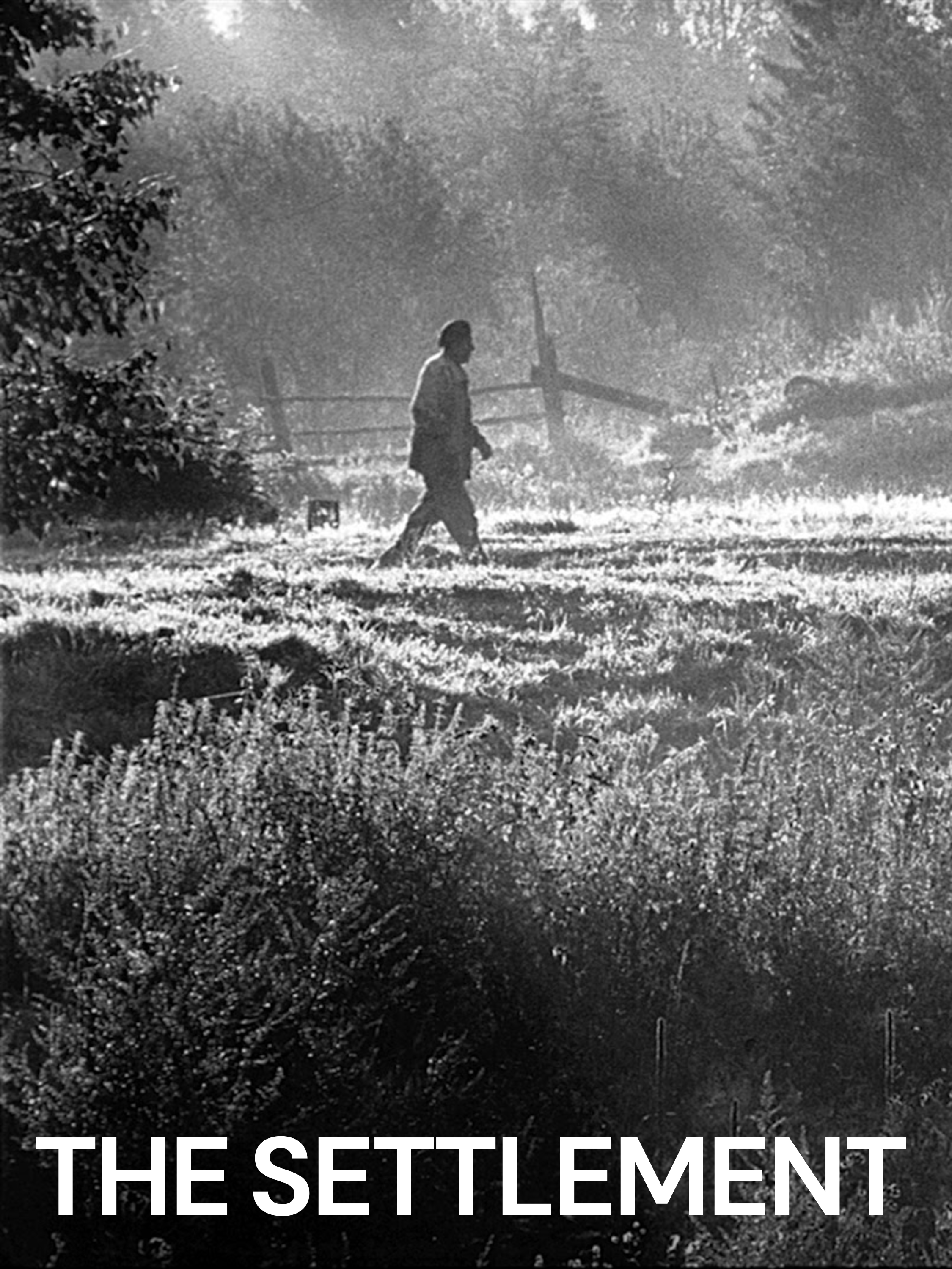 Prime Video: The Settlement