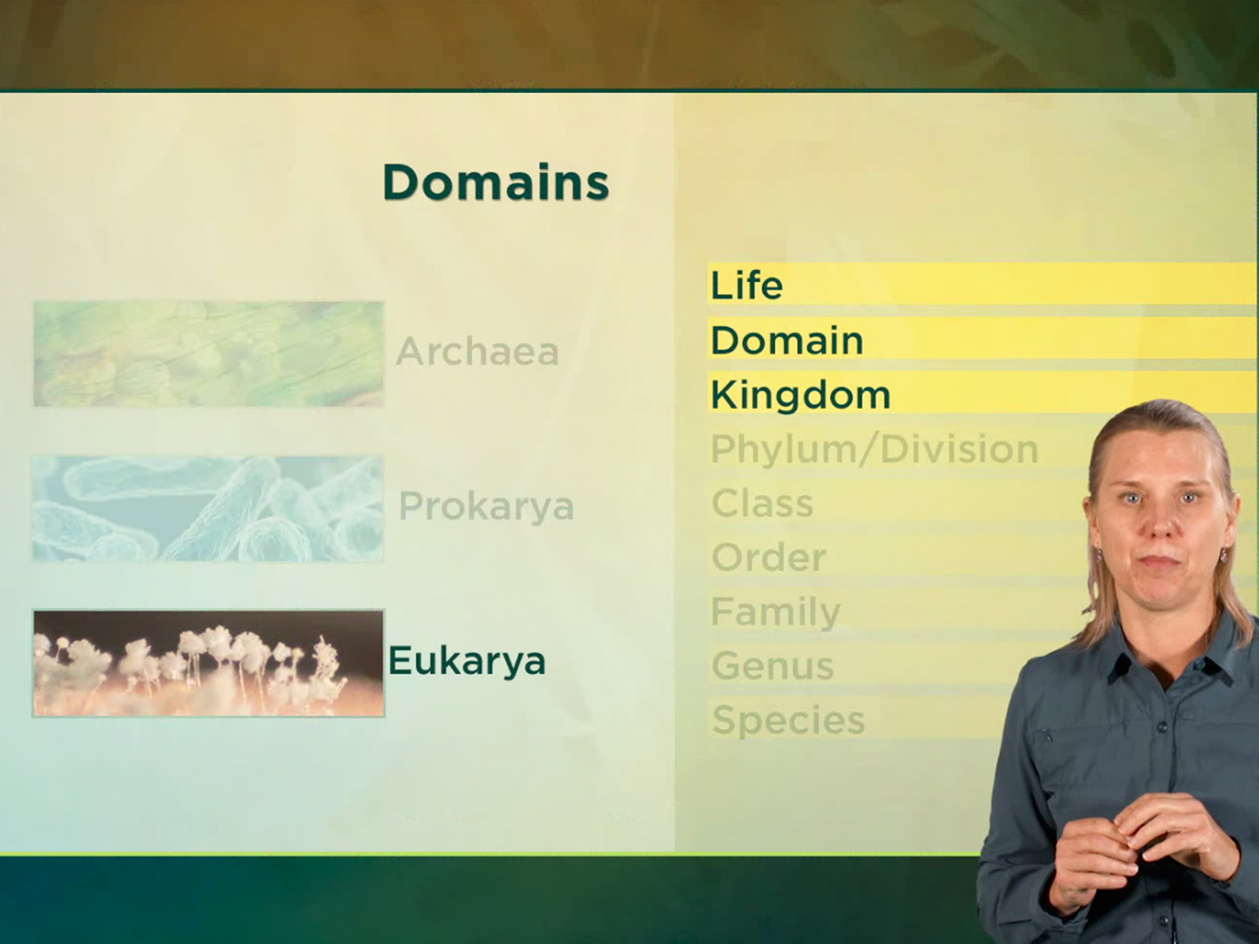 Prime Video: The Botanist's Eye: Identifying the Plants around You