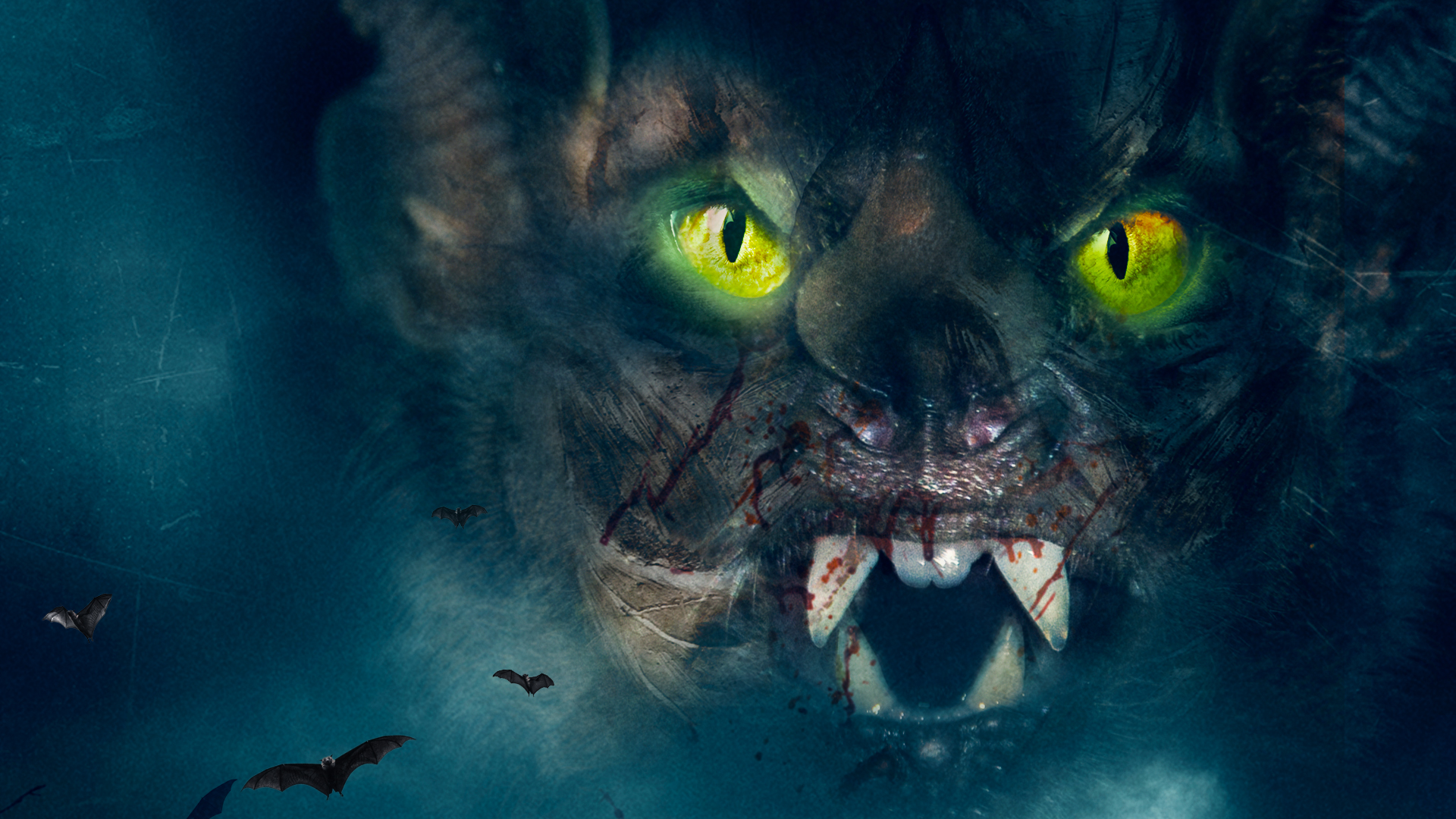 Watch Bats | Prime Video
