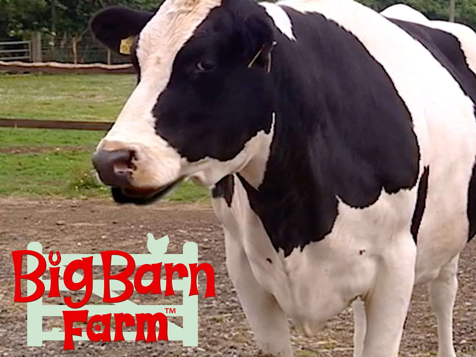 Prime Video: Big Barn Farm