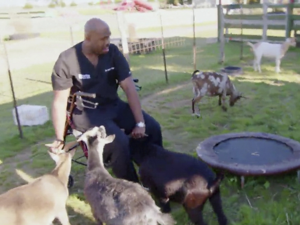 Prime Video: The Vet Life - Season 1