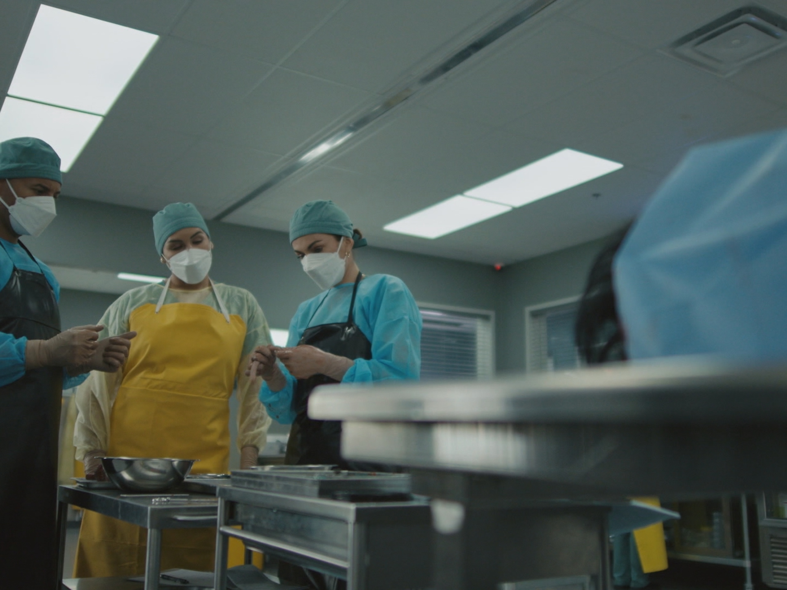 Prime Video: Coroner S4 - Season 4