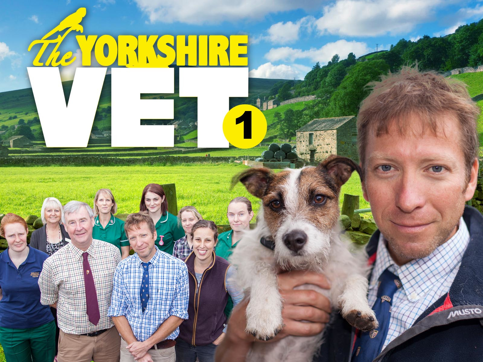 Prime Video: The Yorkshire Vet