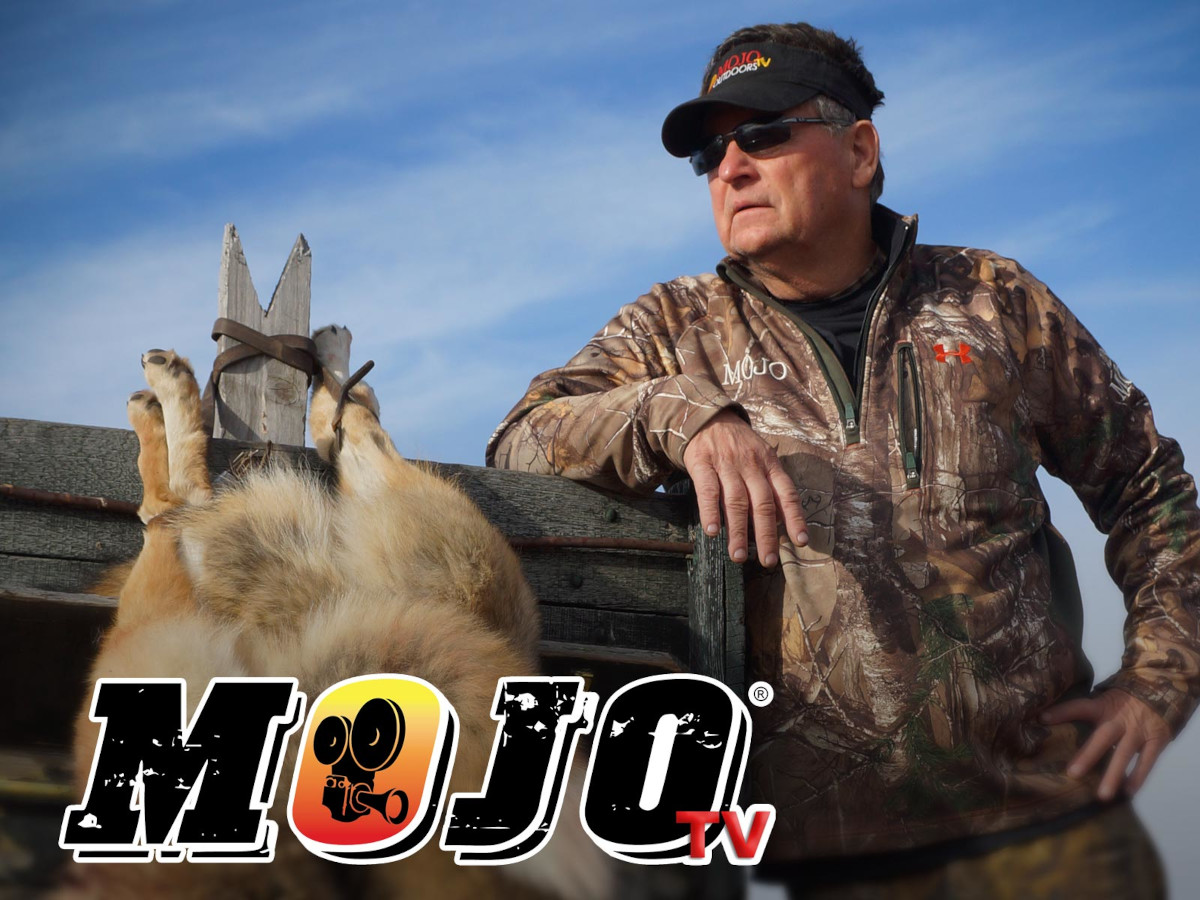 Prime Video: Mojo TV - Season 12