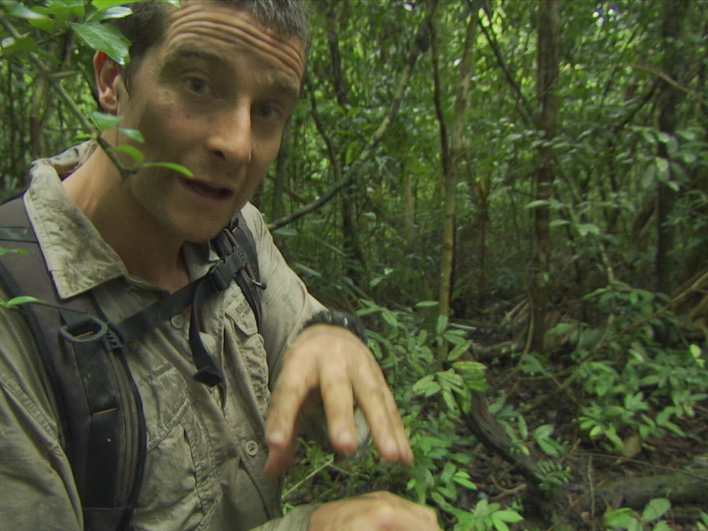 Prime Video: Man vs. Wild - Season 6