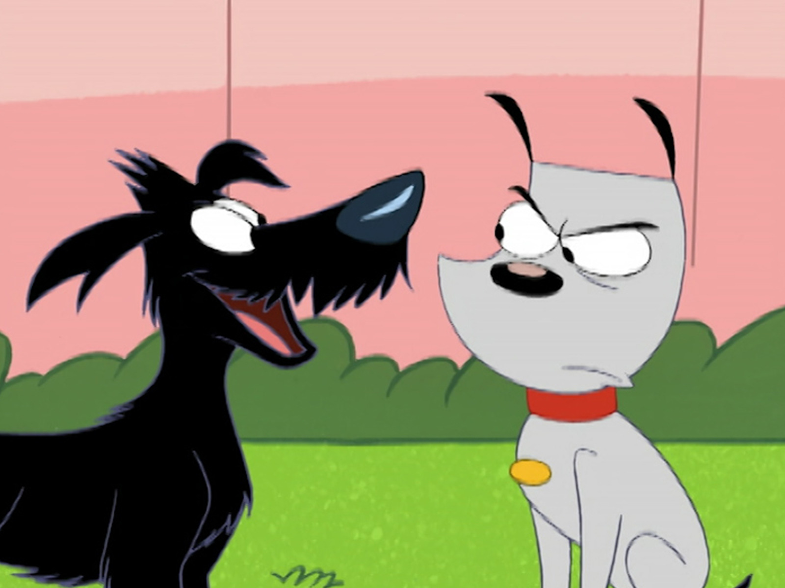 Prime Video: Poochini