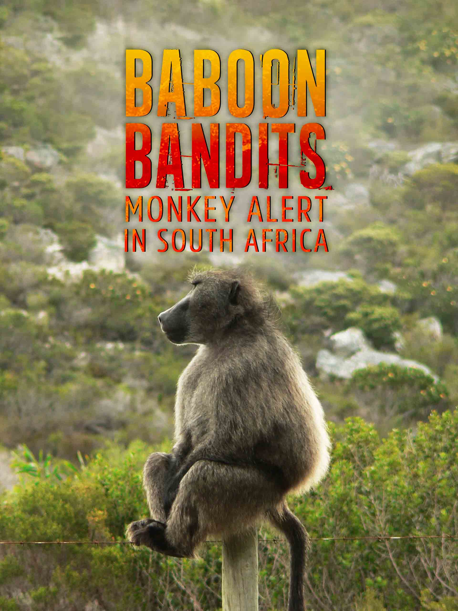 Prime Video: Baboon Bandits: Monkey Alert in South Africa