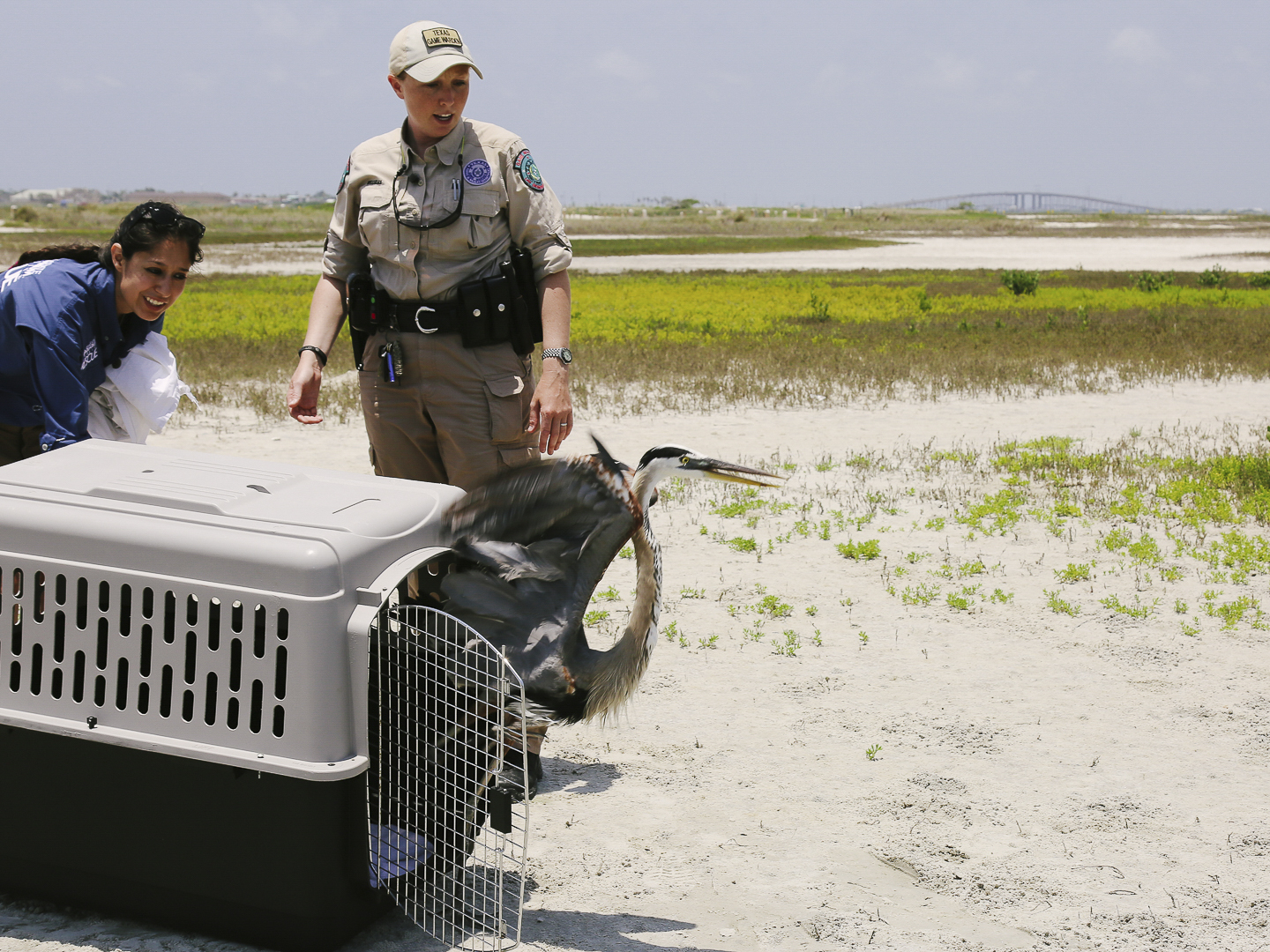 Prime Video: Lone Star Law - Season 7