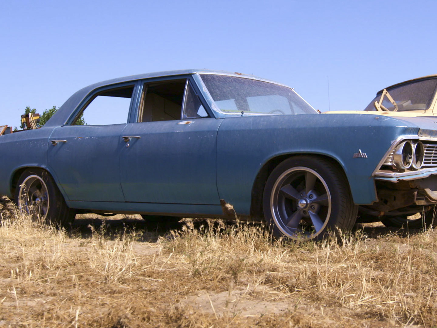 Prime Video: Roadkill Garage - Season 2