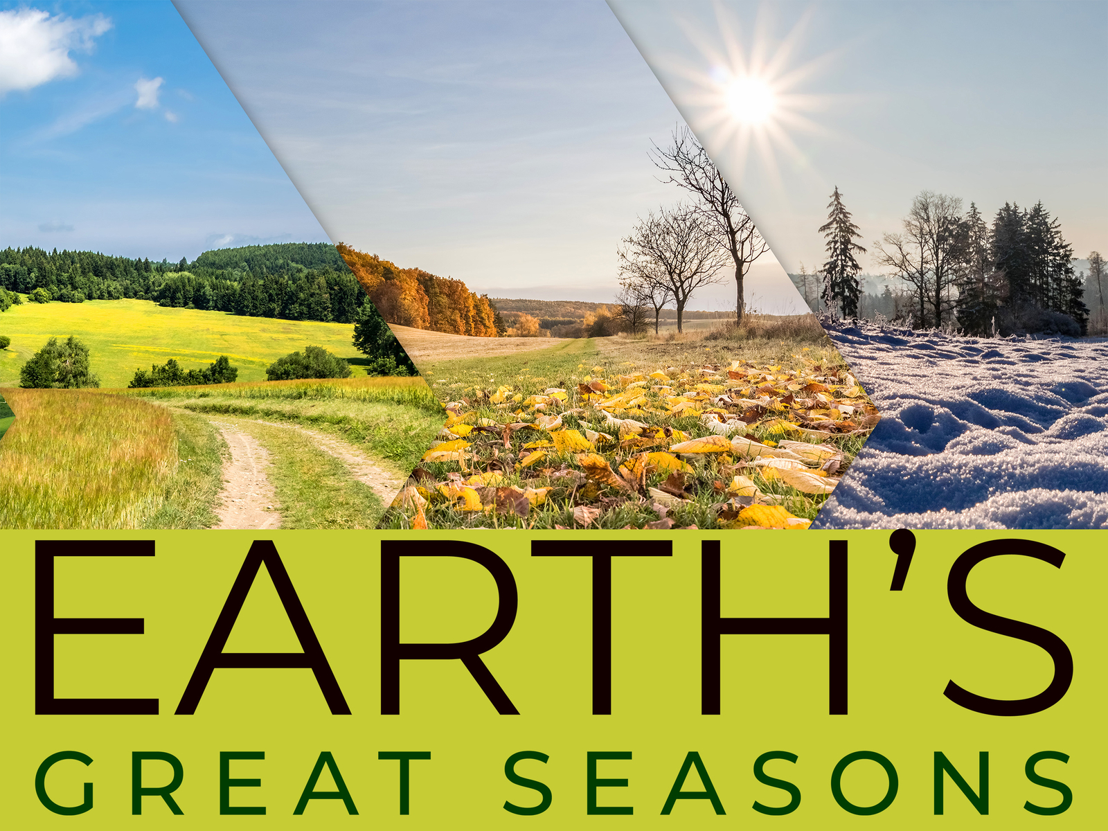 Prime Video: Earth's Great Seasons - Season 1