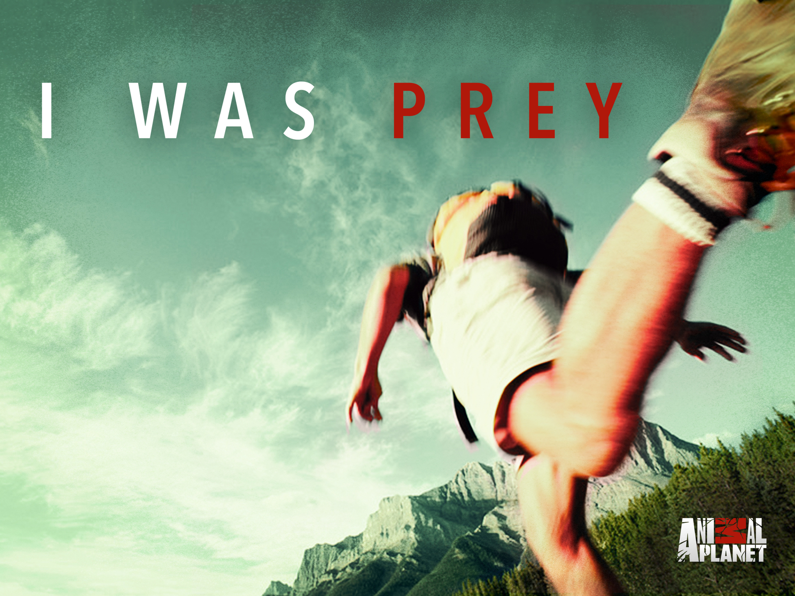 Prime Video: I Was Prey Season 2