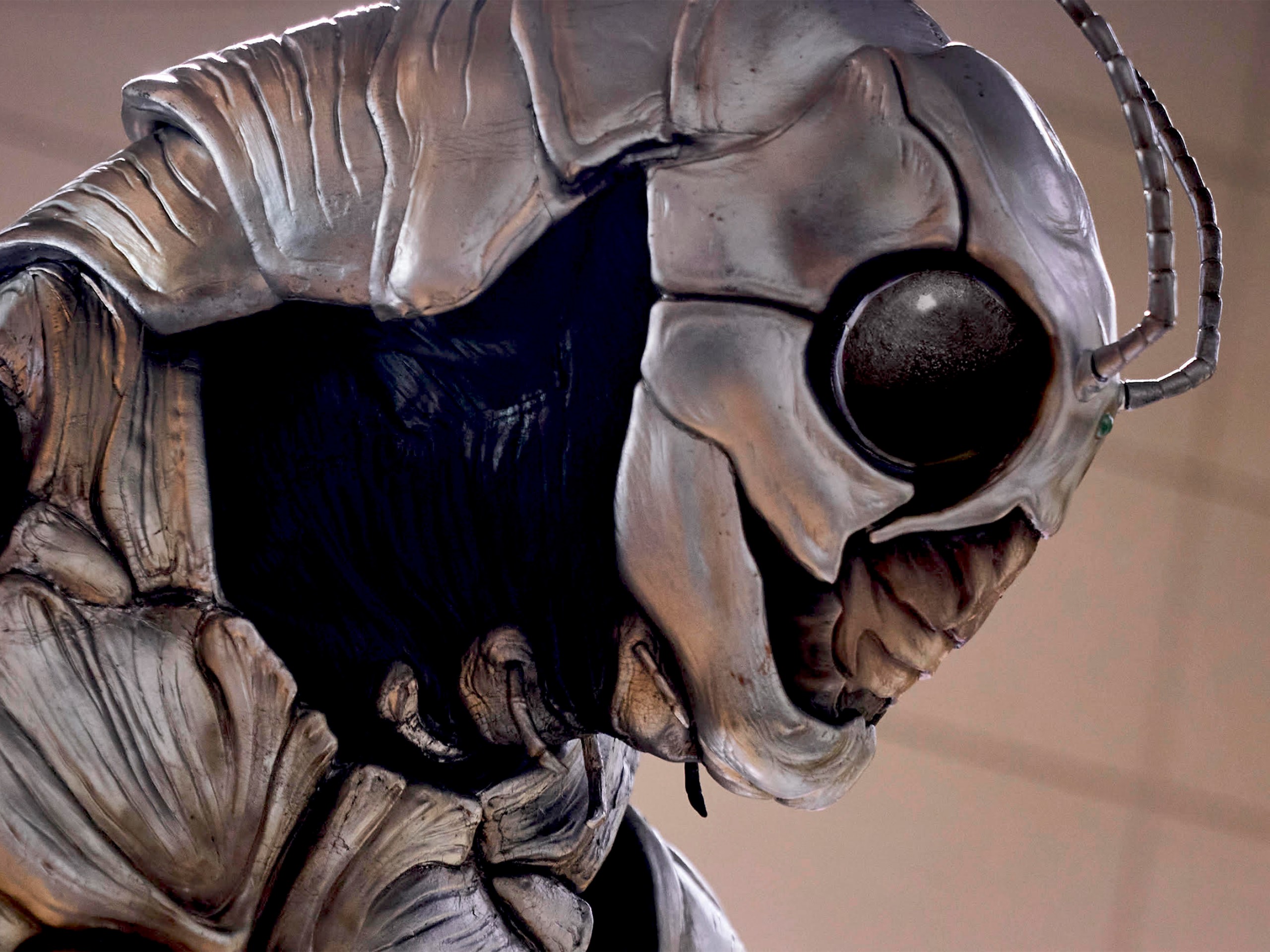 Prime Video: KAMEN RIDER BLACK SUN