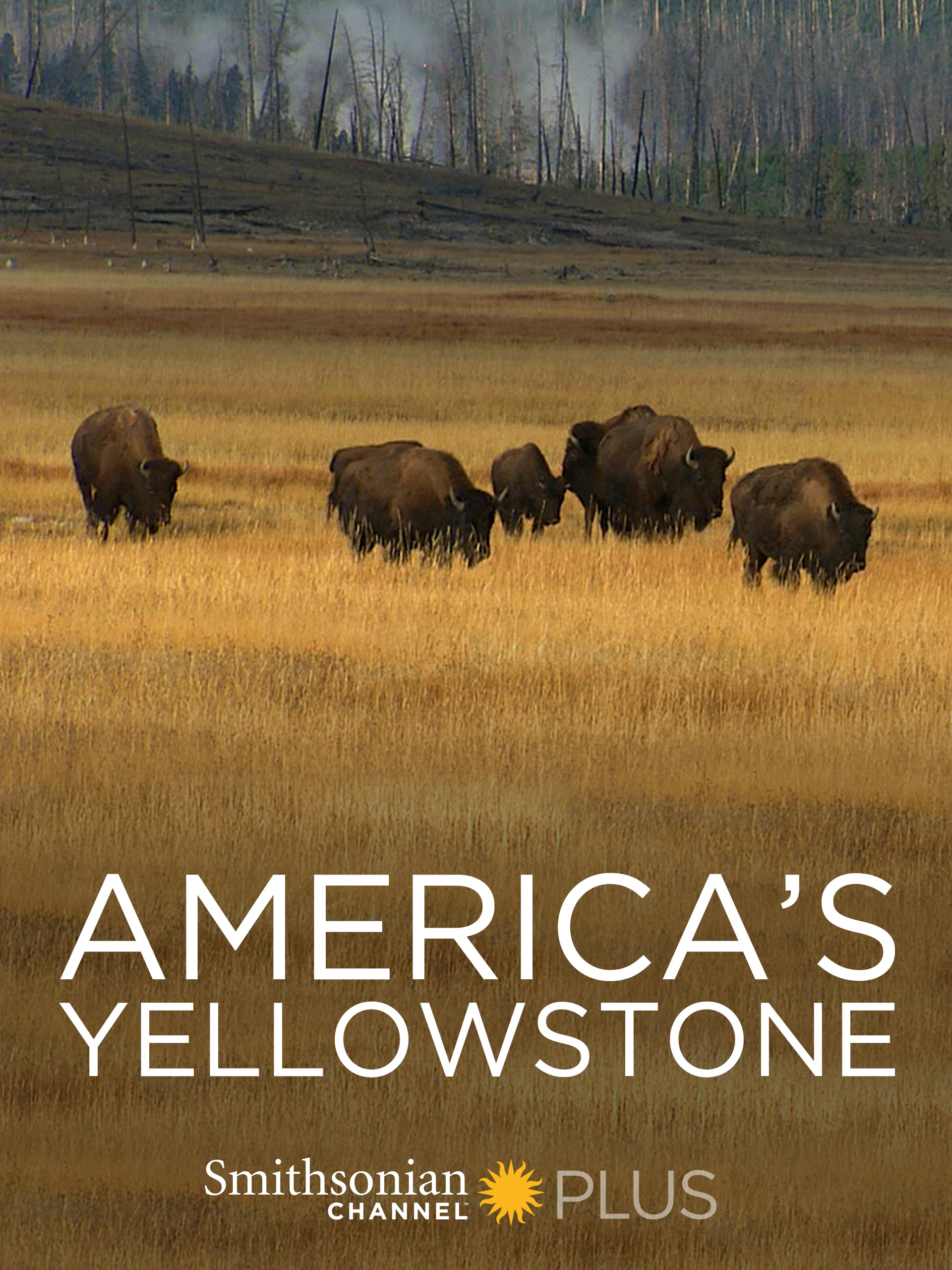 Prime Video: America's Yellowstone