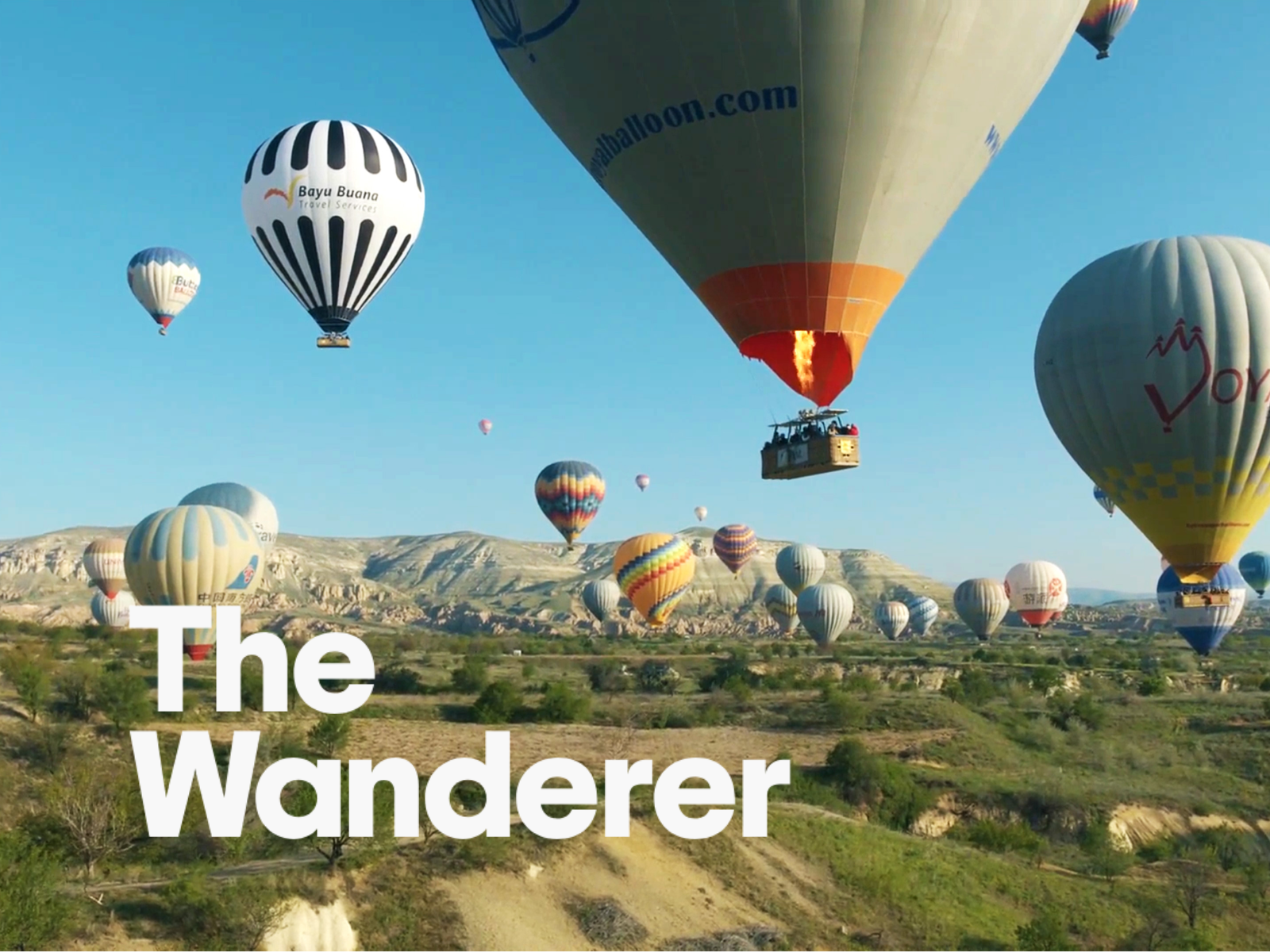 Prime Video: The Wanderer