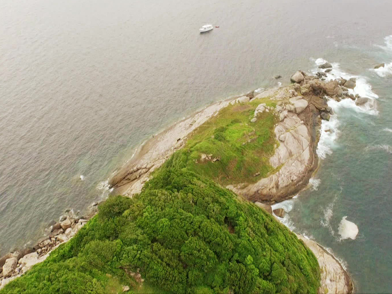 Prime Video: Treasure Quest: Snake Island - Season 1