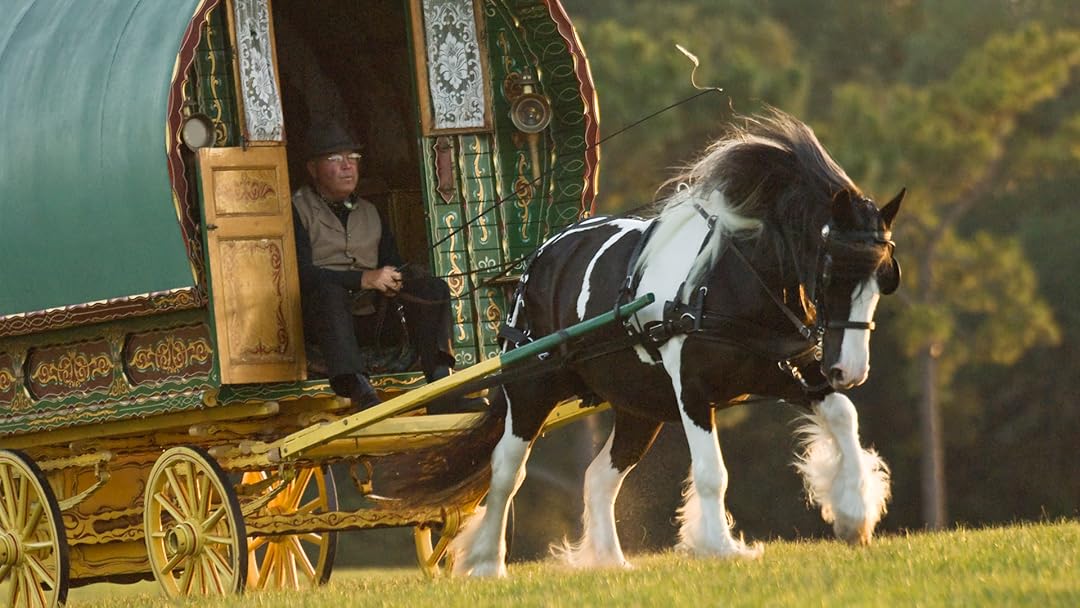 Amazon.com: Gypsy Vanner Horse : ---, Mark J. Barrett: Movies & TV
