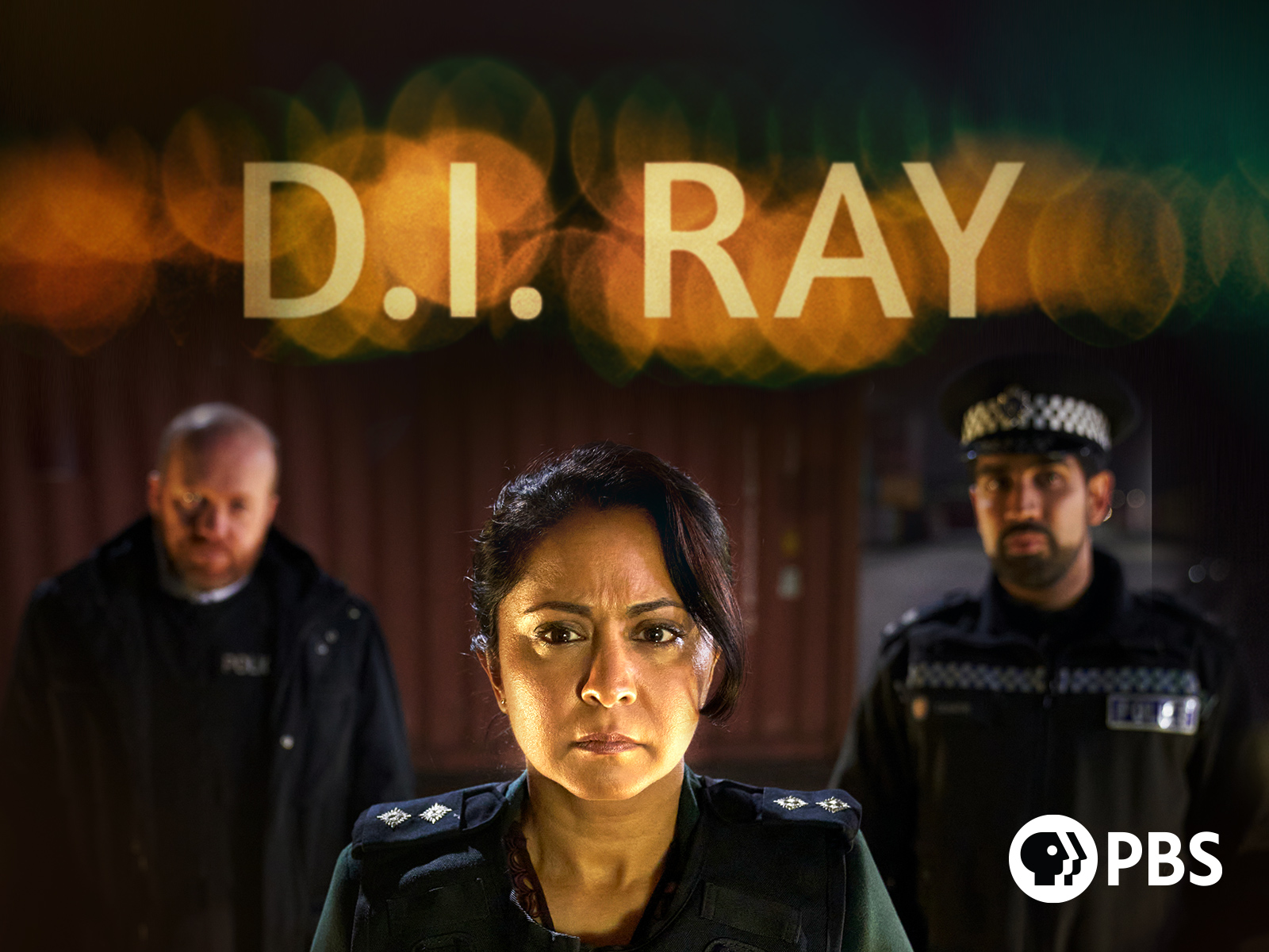 Prime Video: D.I. Ray, Season 1