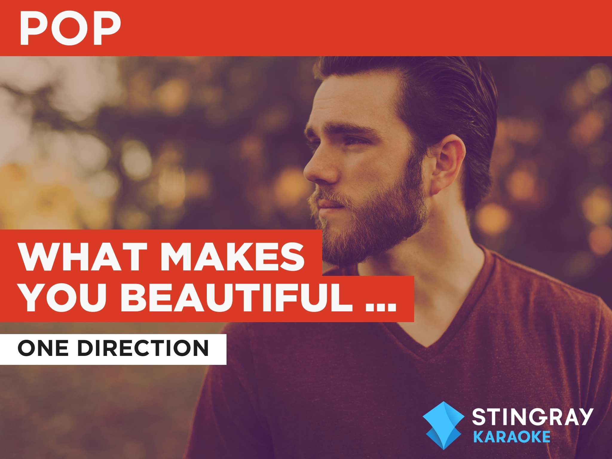 Prime Video: What Makes You Beautiful (Duet) in the Style of One Direction