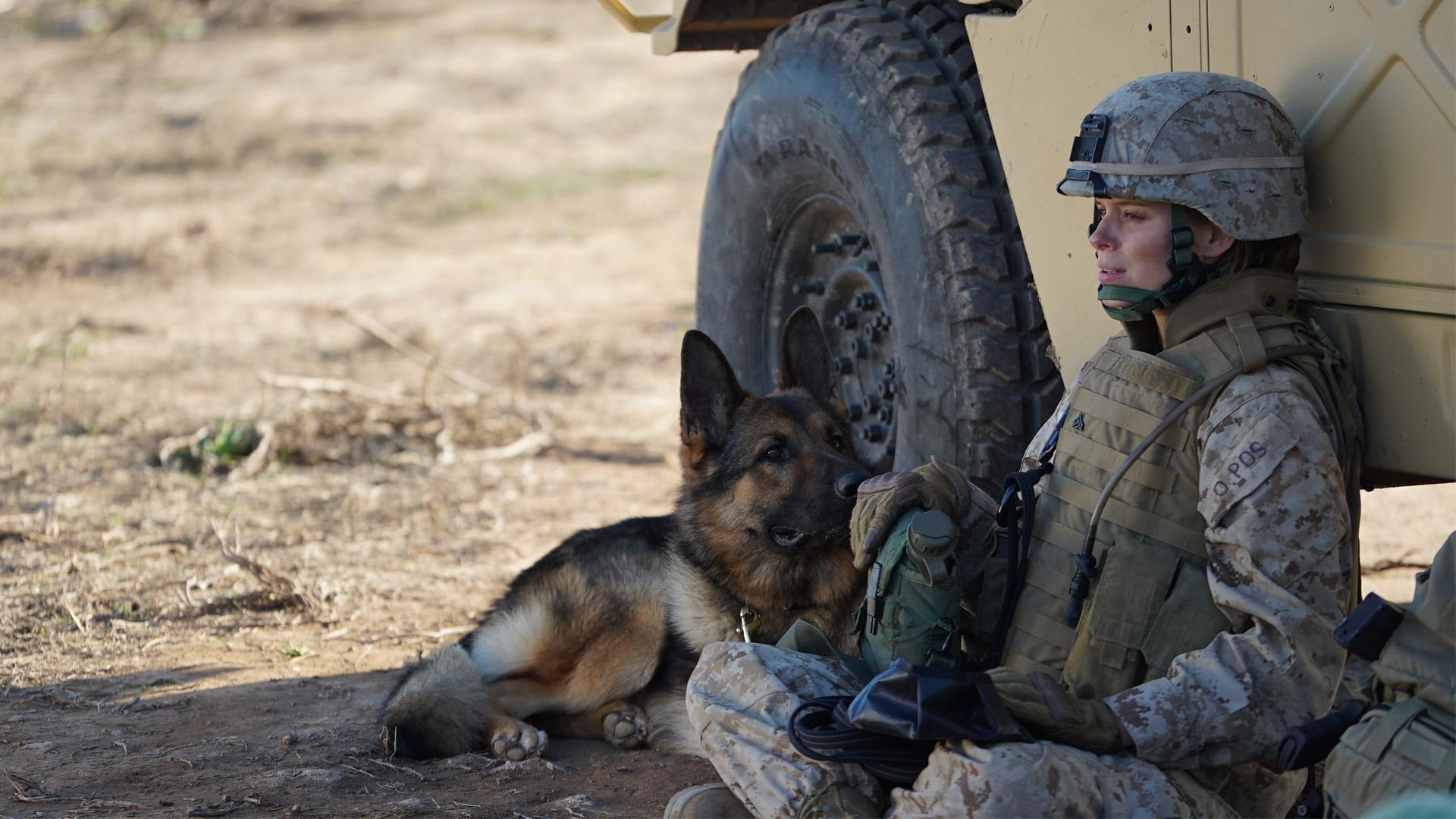 Prime Video: Megan Leavey