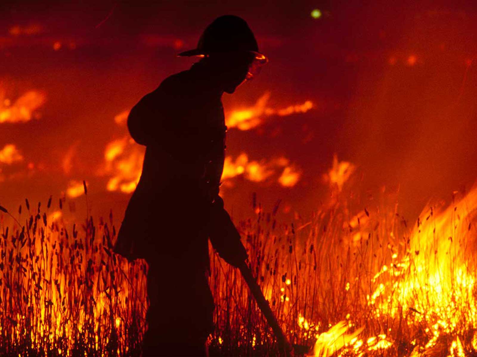 Prime Video: Code Red - Season 1