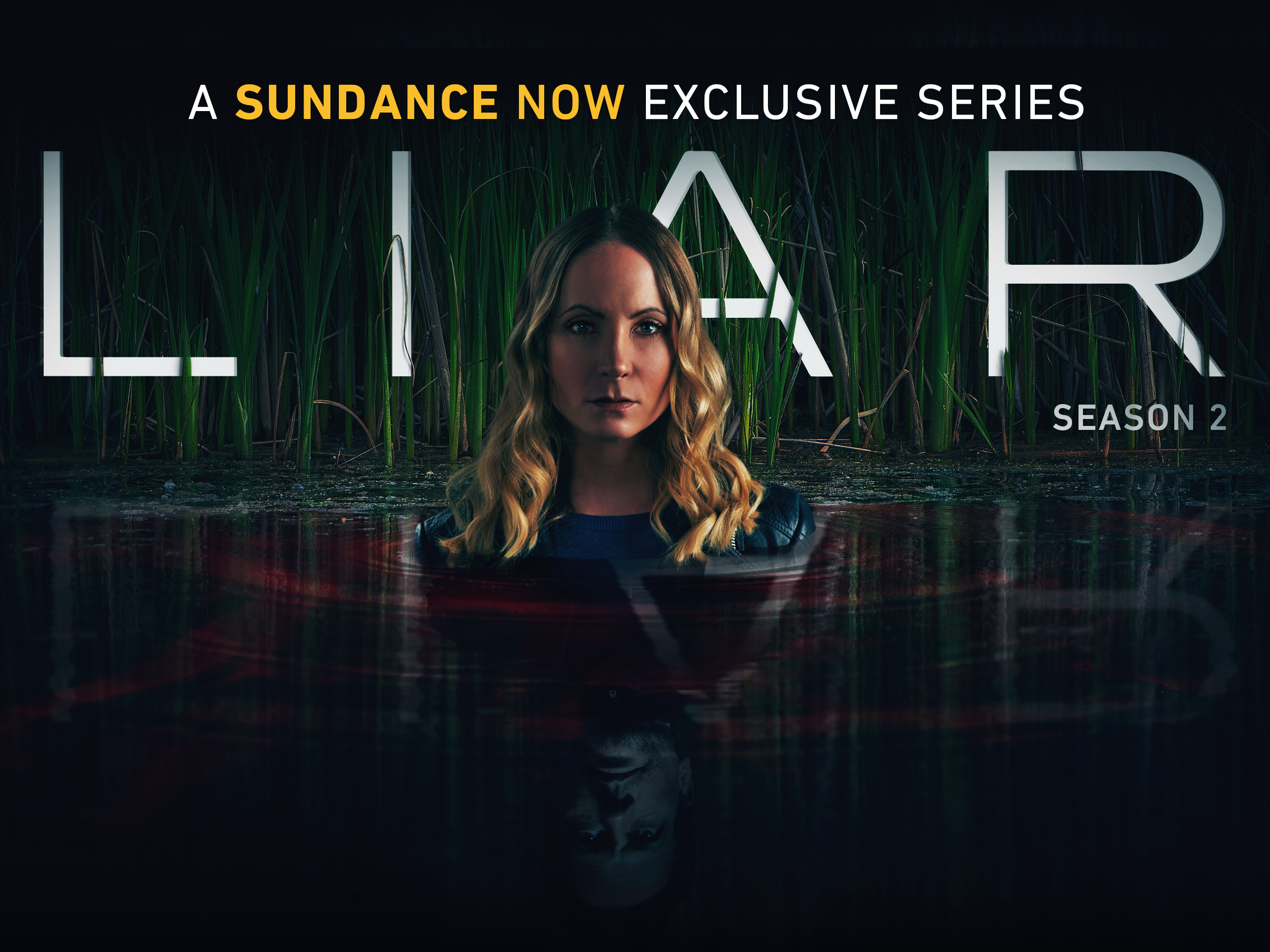 Prime Video: Liar Season 2