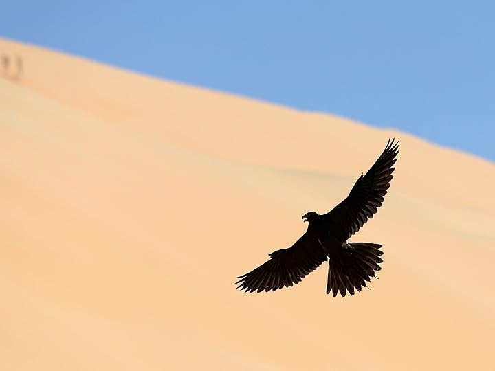 Prime Video: Animal Battlegrounds - Season 1