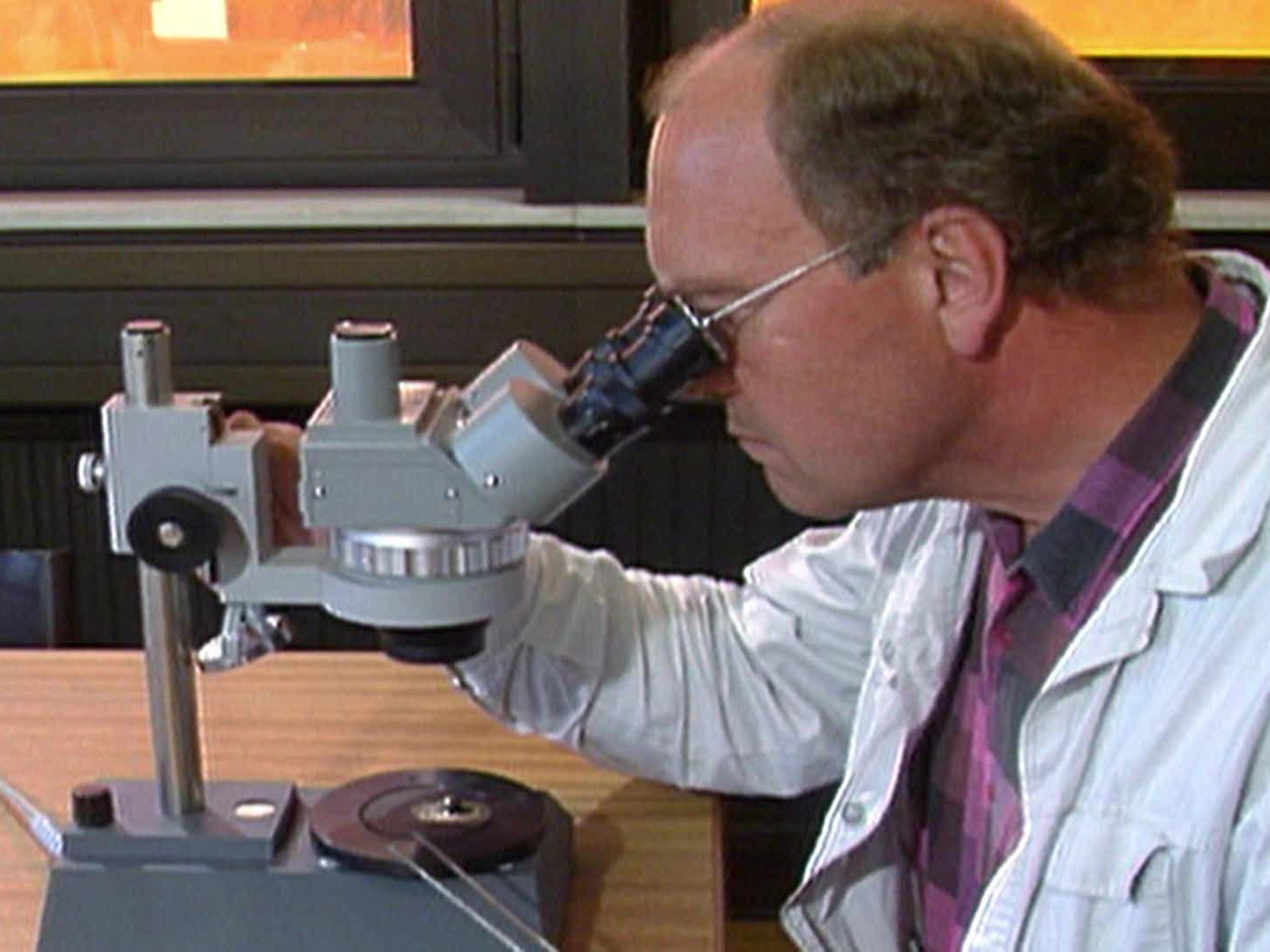 Prime Video: Mysteries at the Museum - Season 10