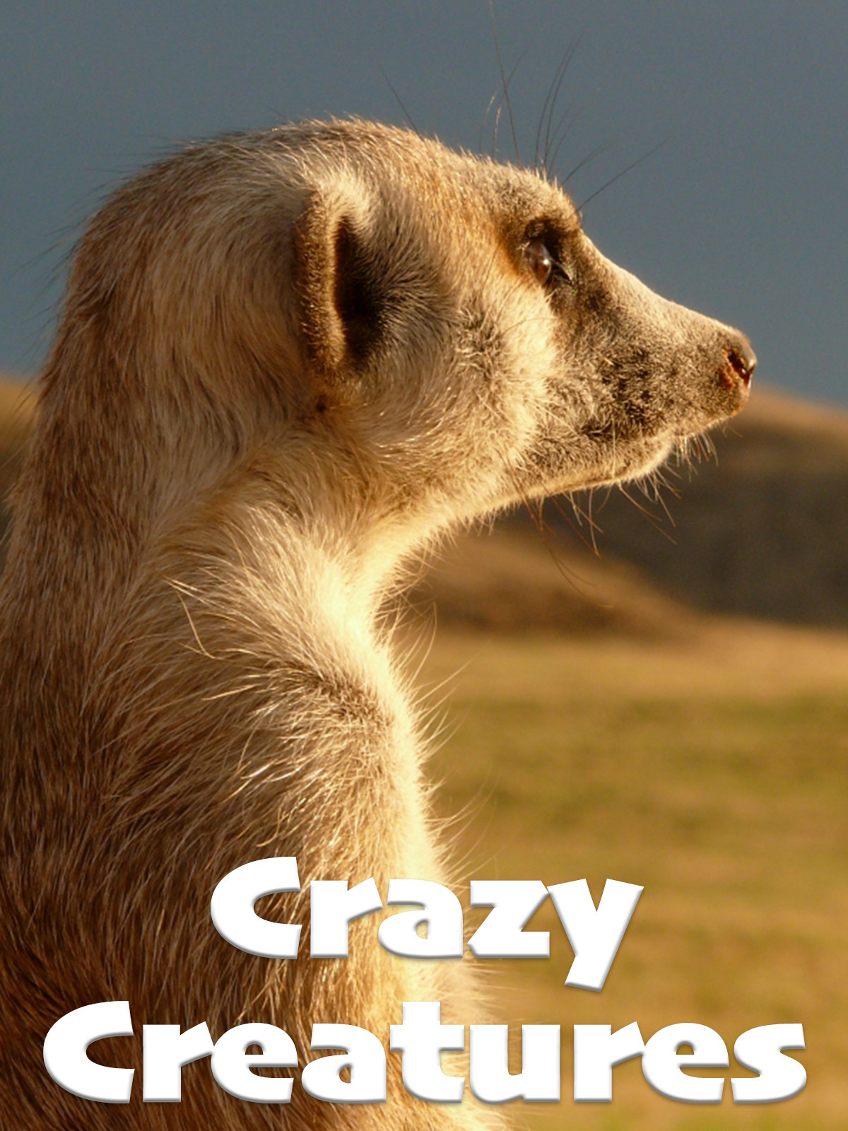 Prime Video: Crazy Creatures