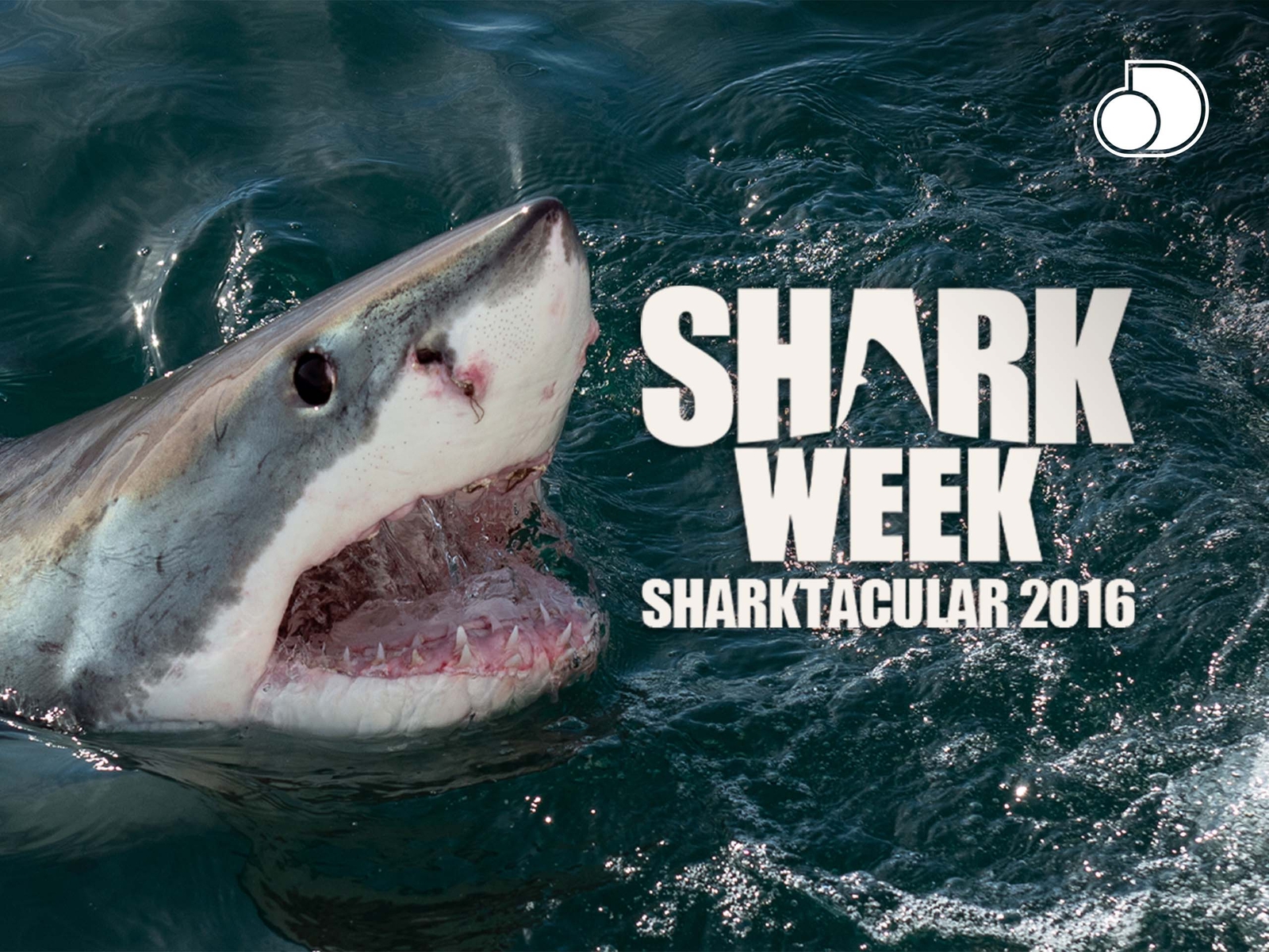 Prime Video: Shark Week Sharktacular 2016 - Season 1