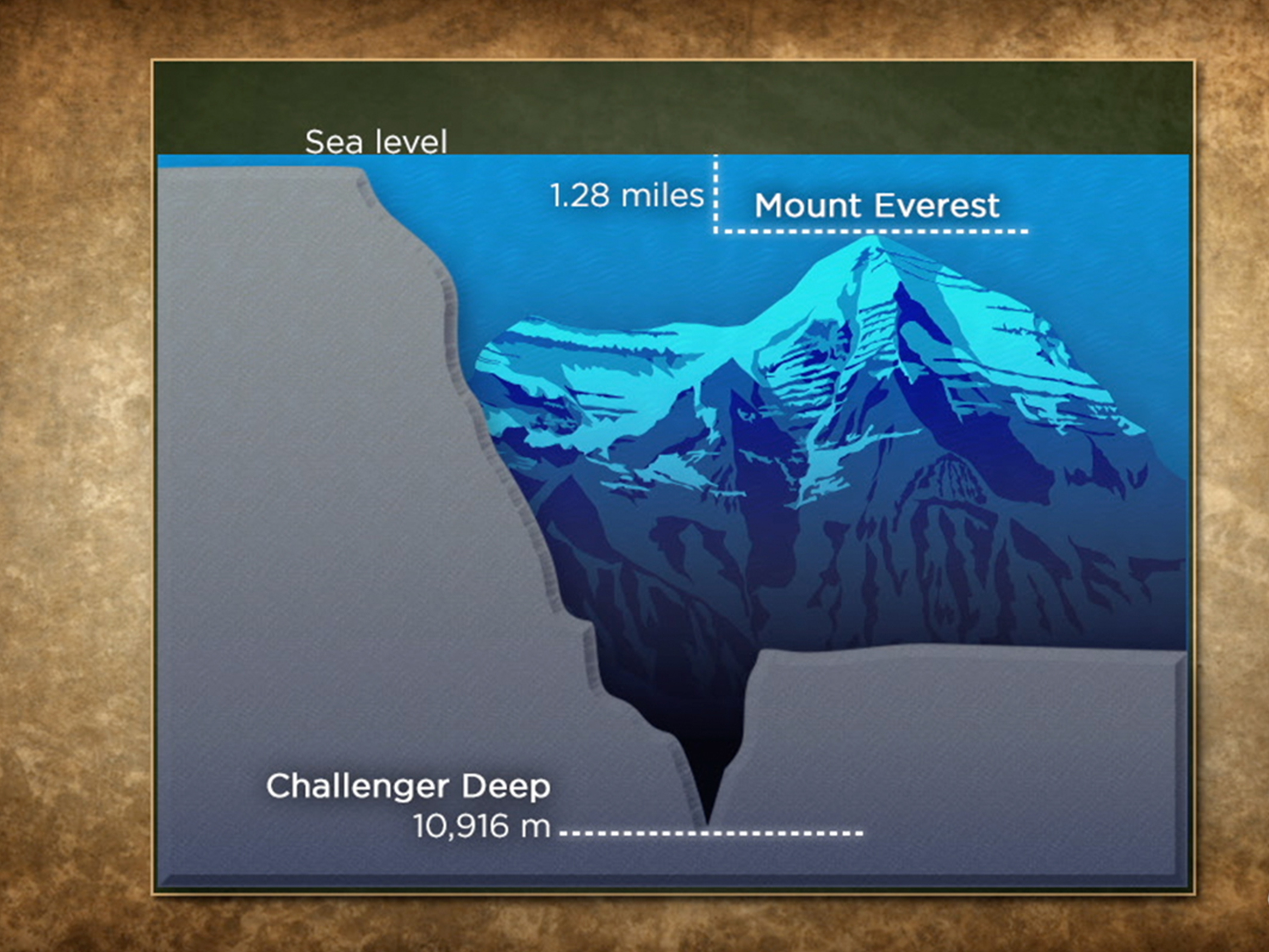 Prime Video: Introduction to Paleontology