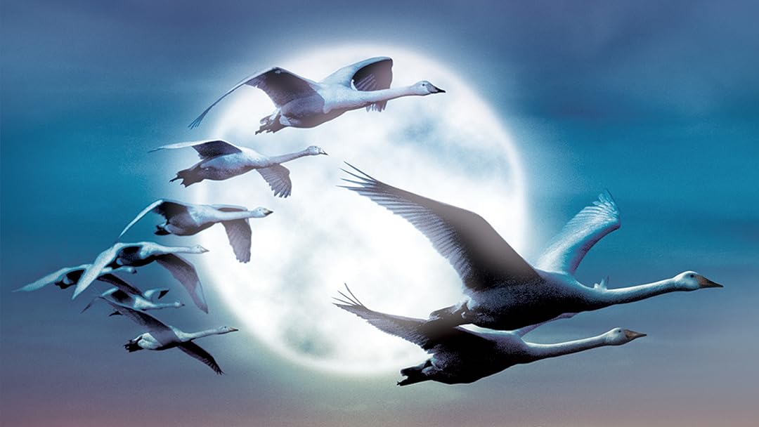 Prime Video: Winged Migration