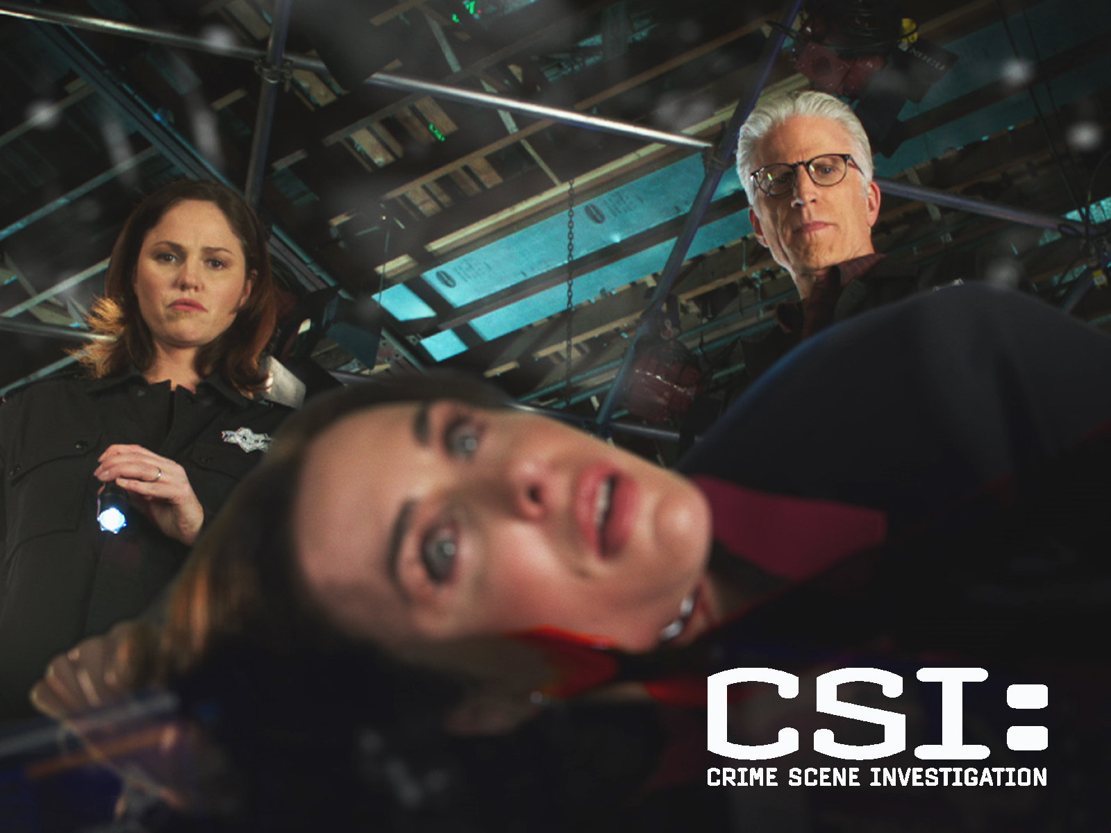 Prime Video: CSI: Crime Scene Investigation, Season 13