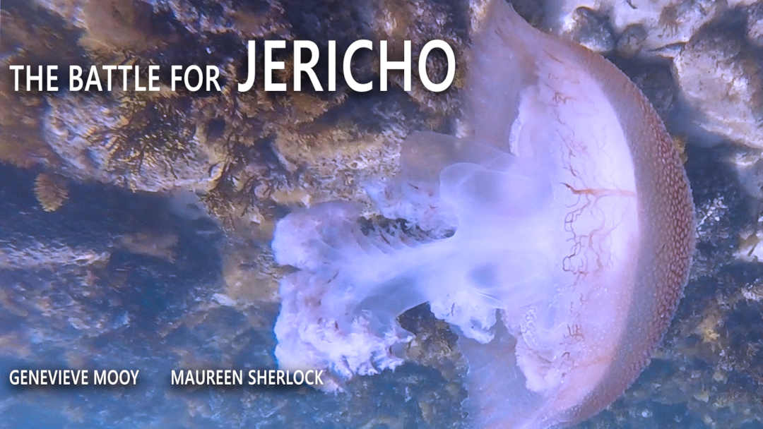 Prime Video: The Battle For Jericho