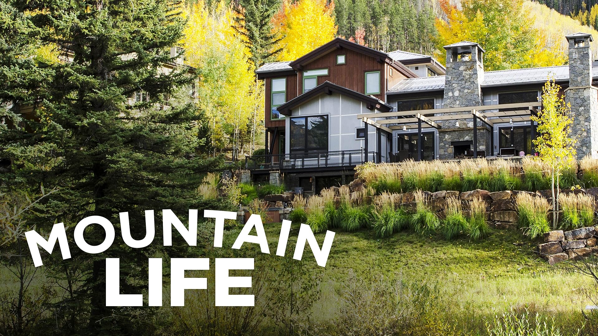 Watch My Pack Life - Season 1 | Prime Video