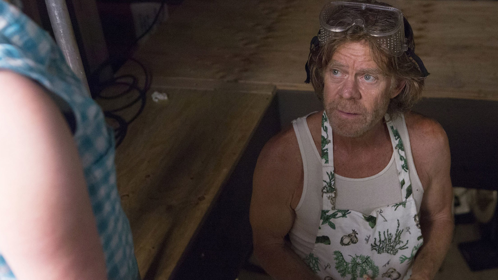 Prime Video: Shameless - Staffel 5 [dt./OV]