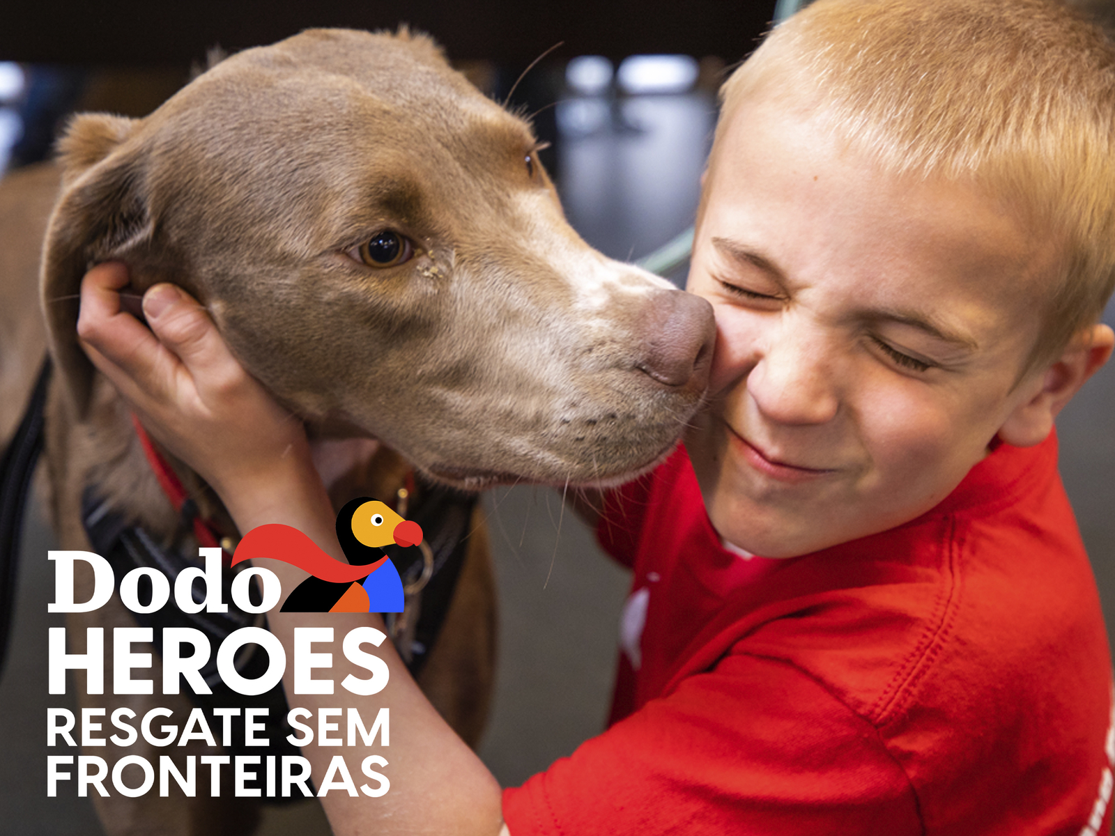 Prime Video: Dodo Heroes - Season 2