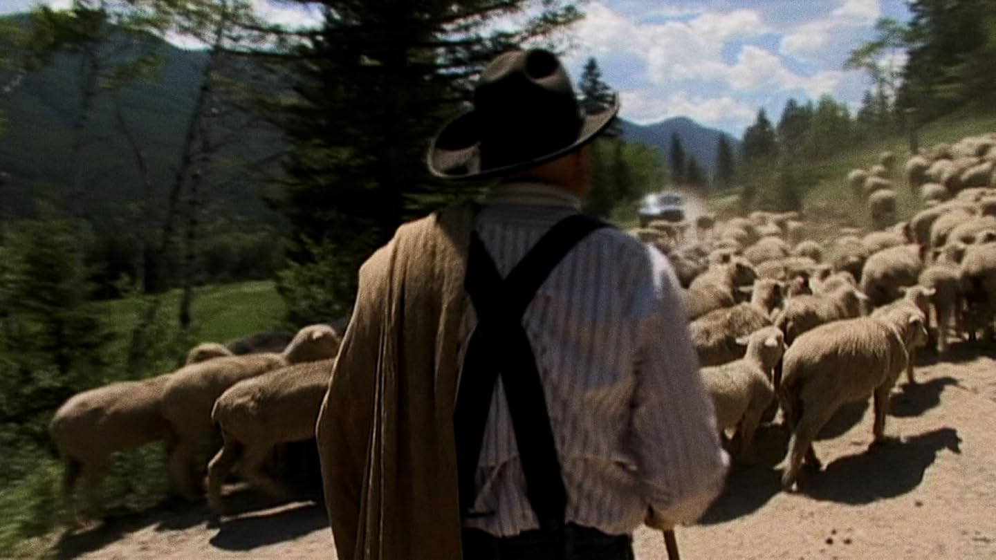 Amazon.com: Sweetgrass : Ilisa Barbash, Lucien Castaing-Taylor, Ilisa ...