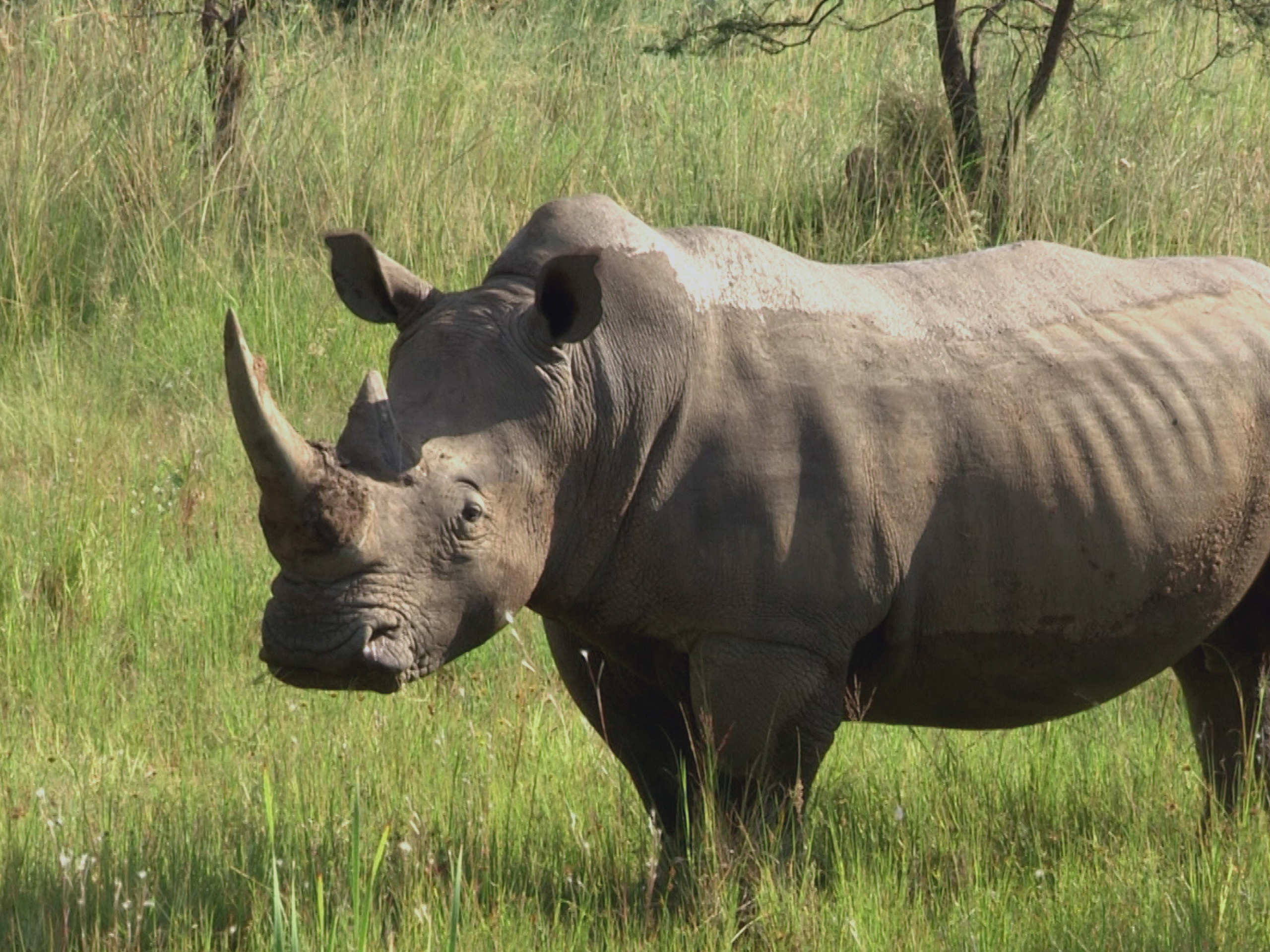 Prime Video: Sam Fox: Extreme Adventures