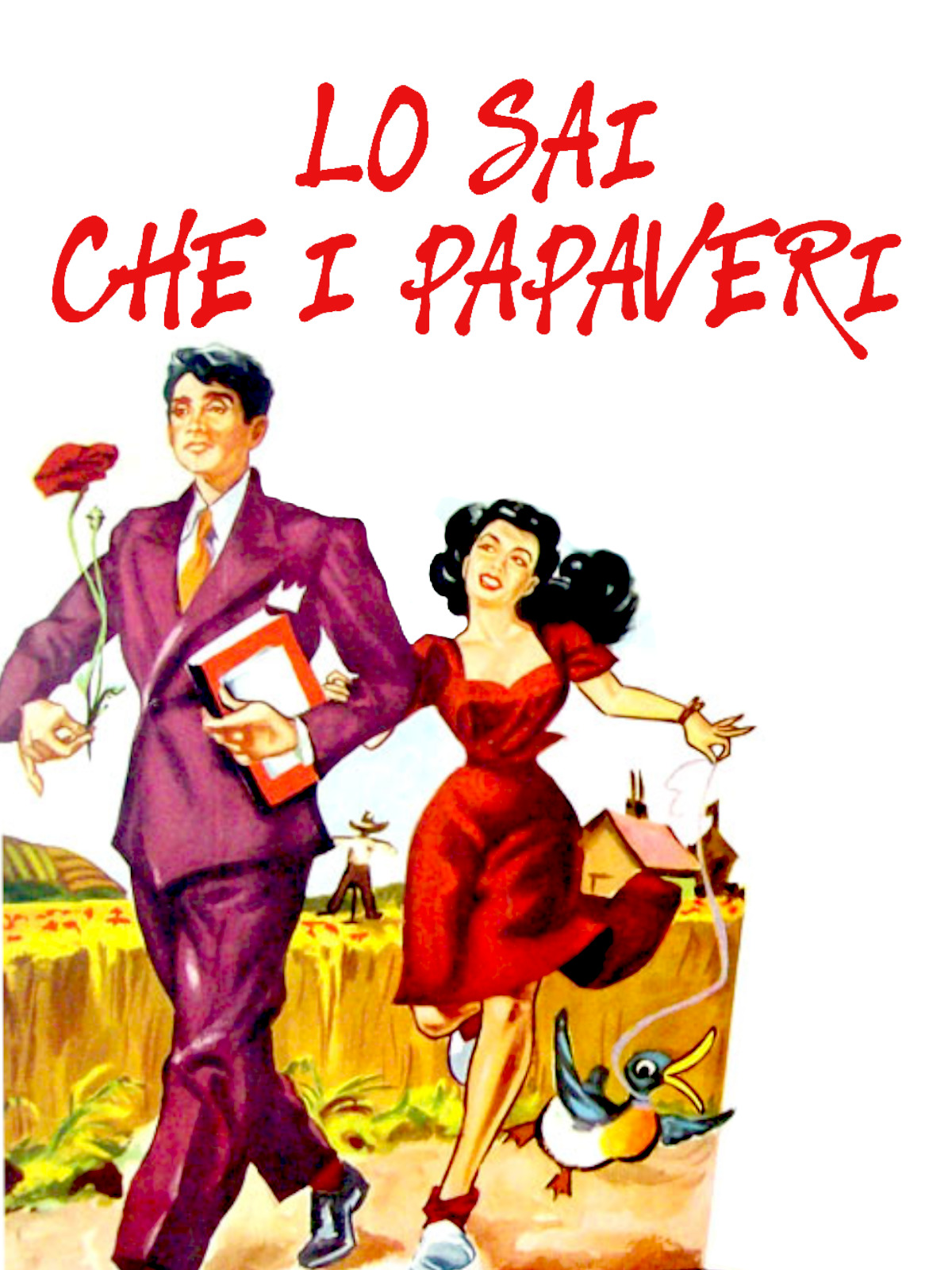 Prime Video: Lo sai che i papaveri