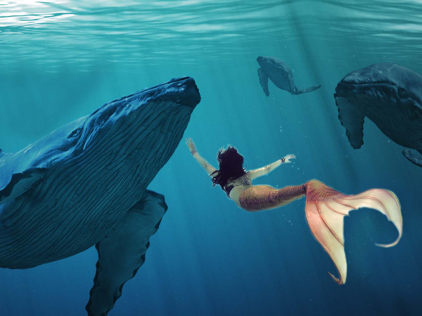 Prime Video: Life as a Mermaid