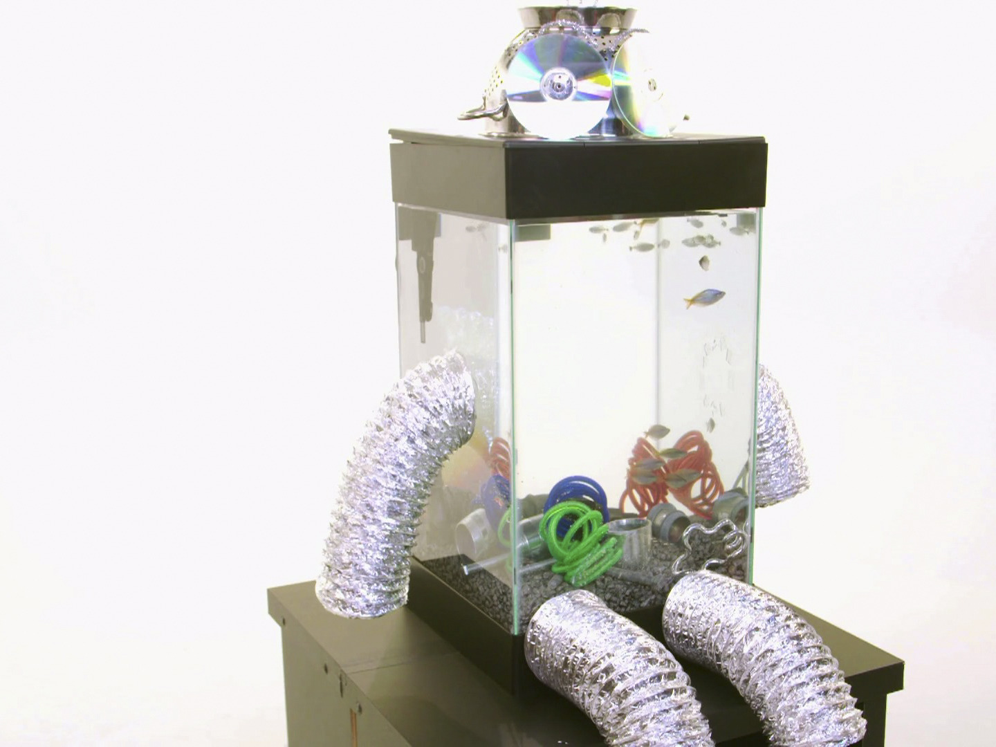 Prime Video: Tanked Jr. - Season 1