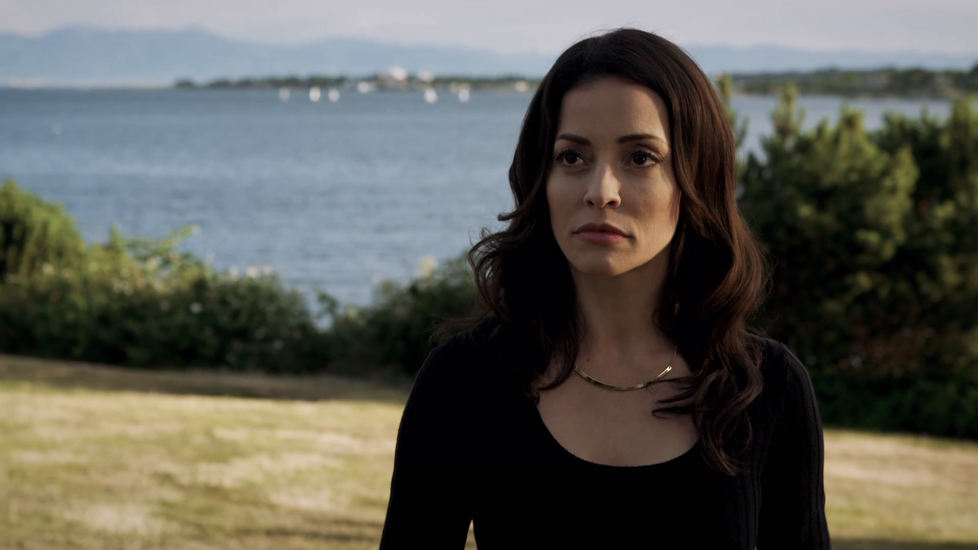 Watch STRANGER IN THE HOUSE (2016) | Prime Video