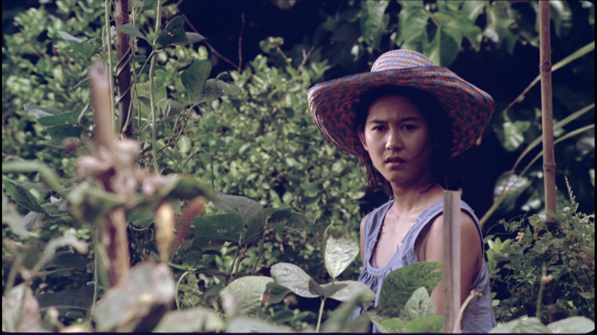 Prime Video: Transistor Love Story