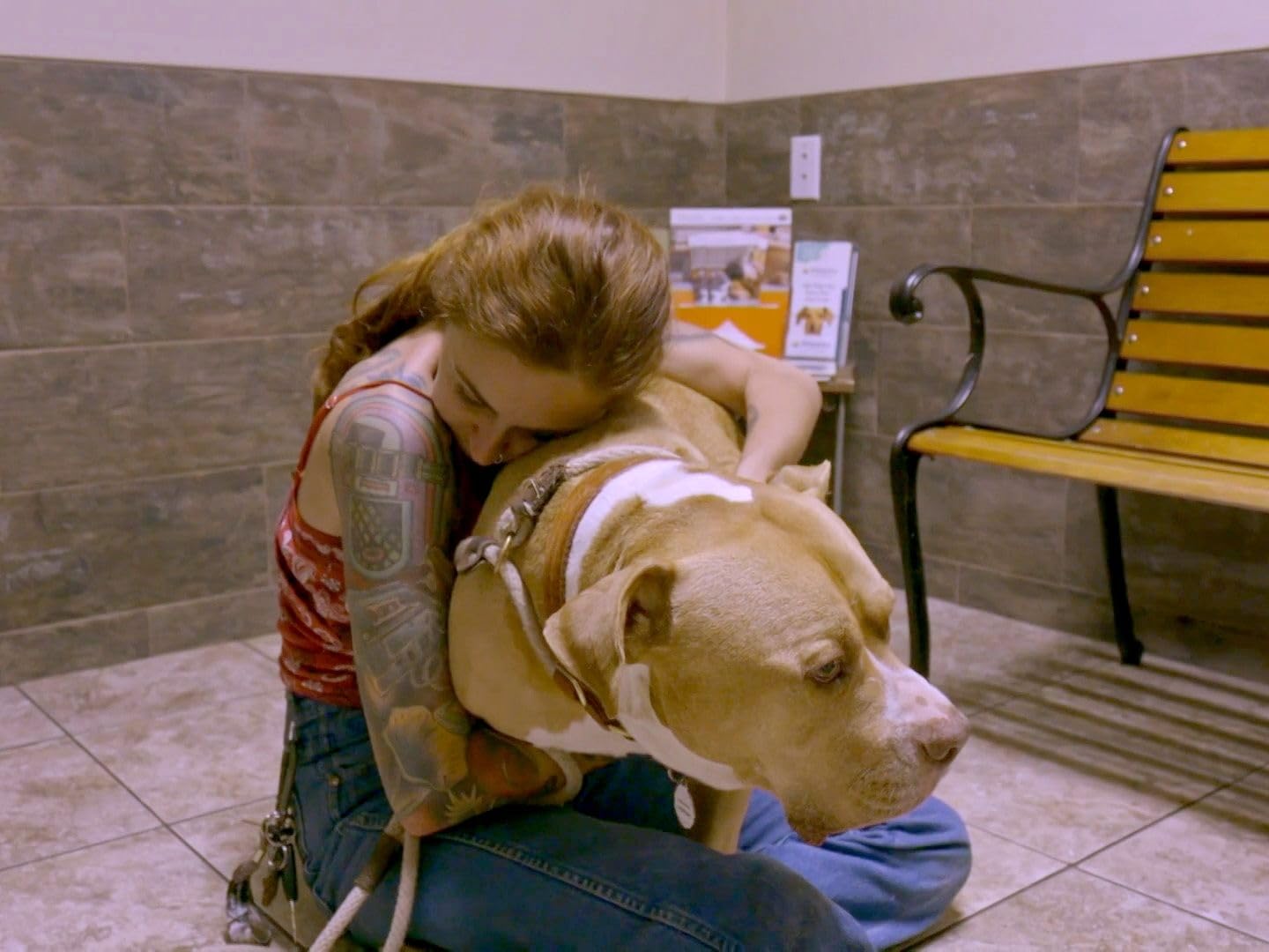Prime Video: Pit Bulls e Condenados - Season 10