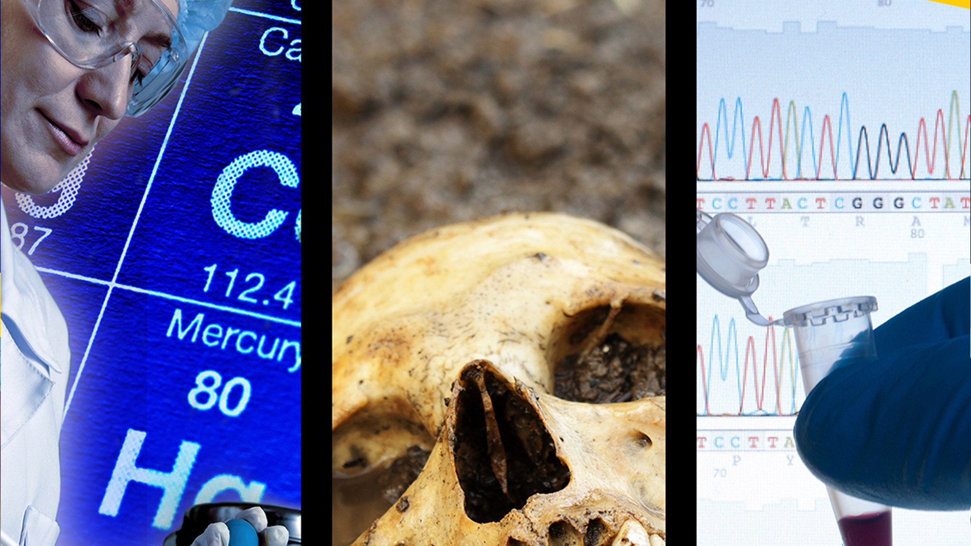 Watch The New Detectives: Case Studies in Forensic Science | Prime Video