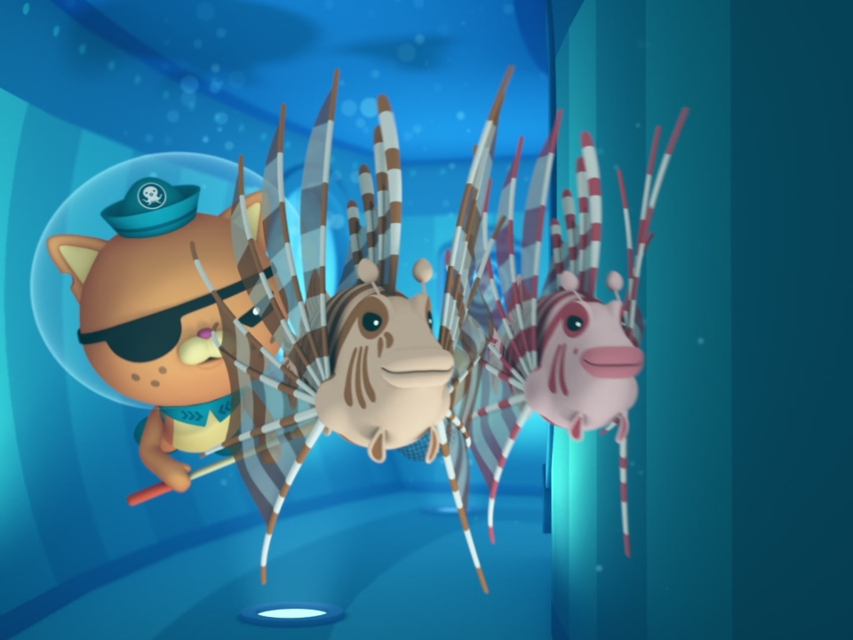 Prime Video: Octonauts Season 2