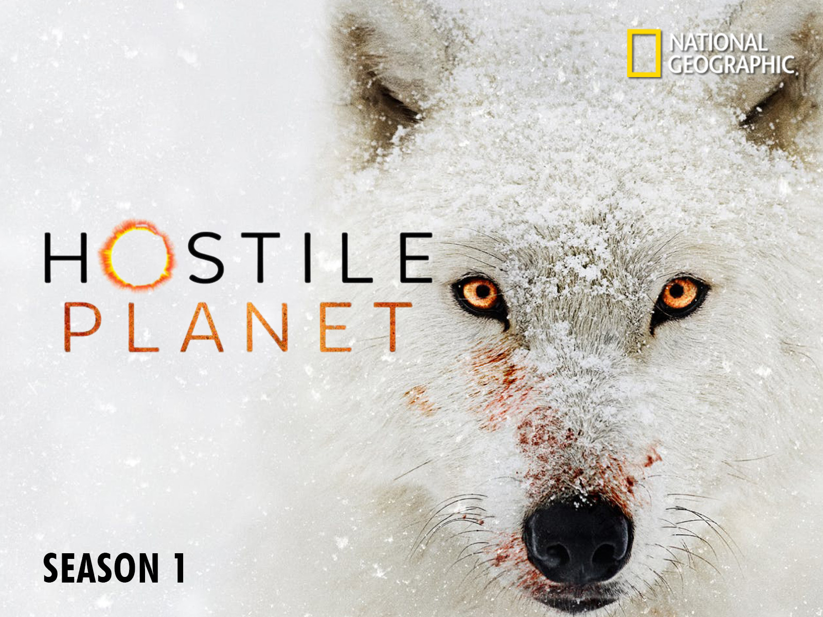 Prime Video: Hostile Planet - Season 1