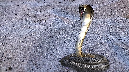 Prime Video: Venom Hunters - Season 1