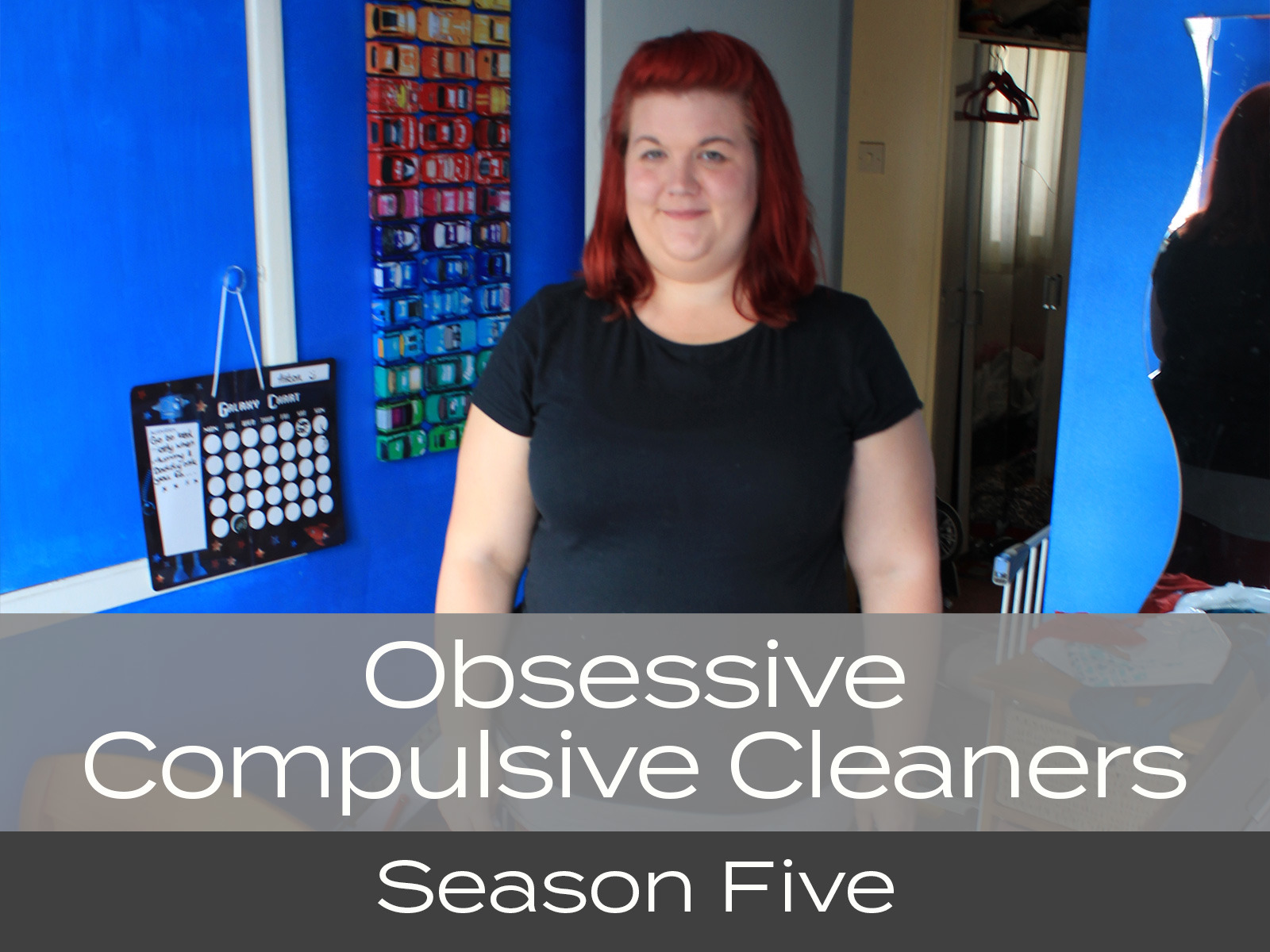 Prime Video: Obsessive Compulsive Cleaners